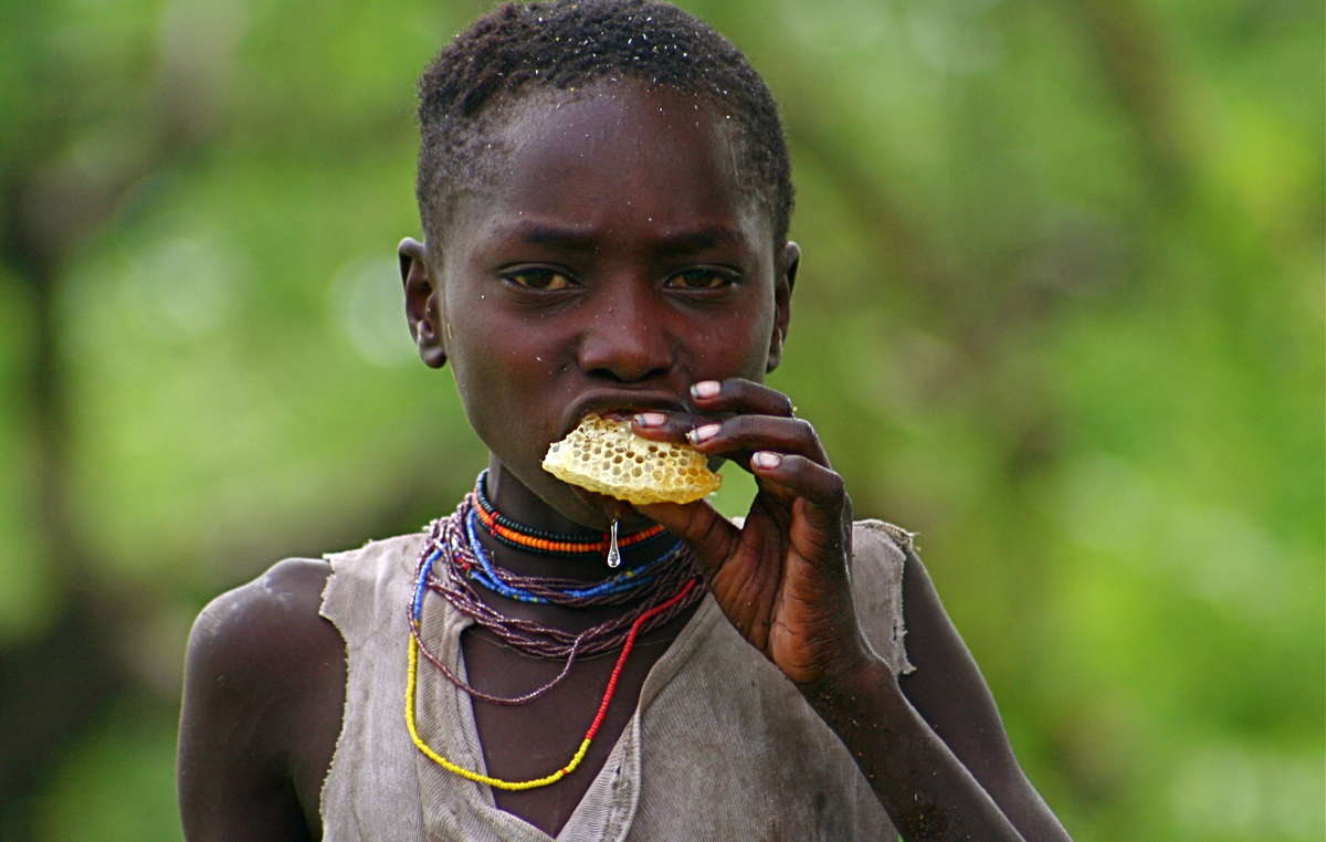 La dieta saludable de los Hadza, una tradición de 40 mil años - Metalli ...